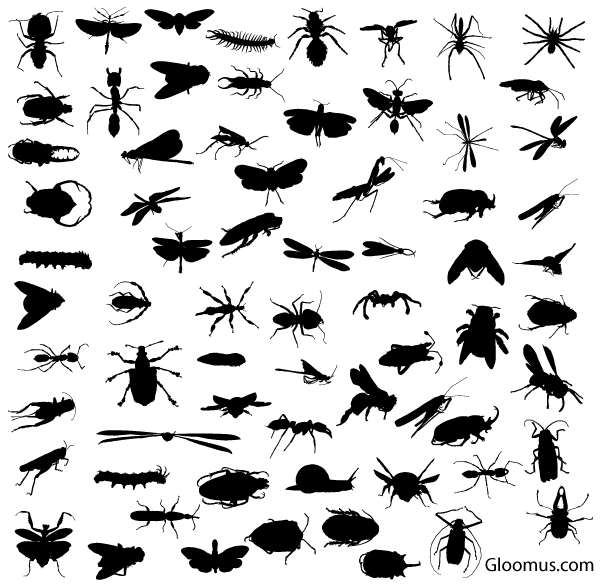 Free Vector Insect Silhouettes Free Download | Download Free Vector Art ...